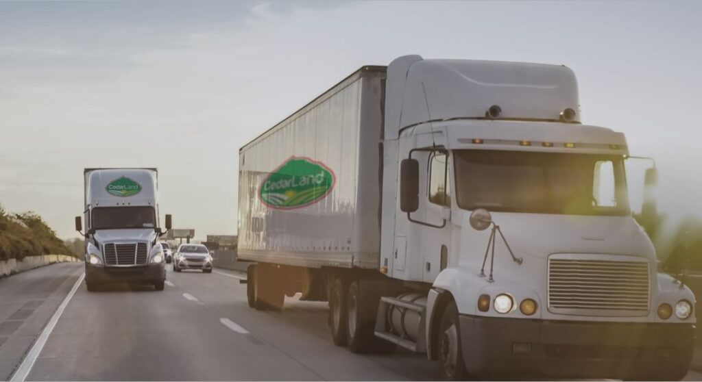 Saad Trading Inc | Distribution